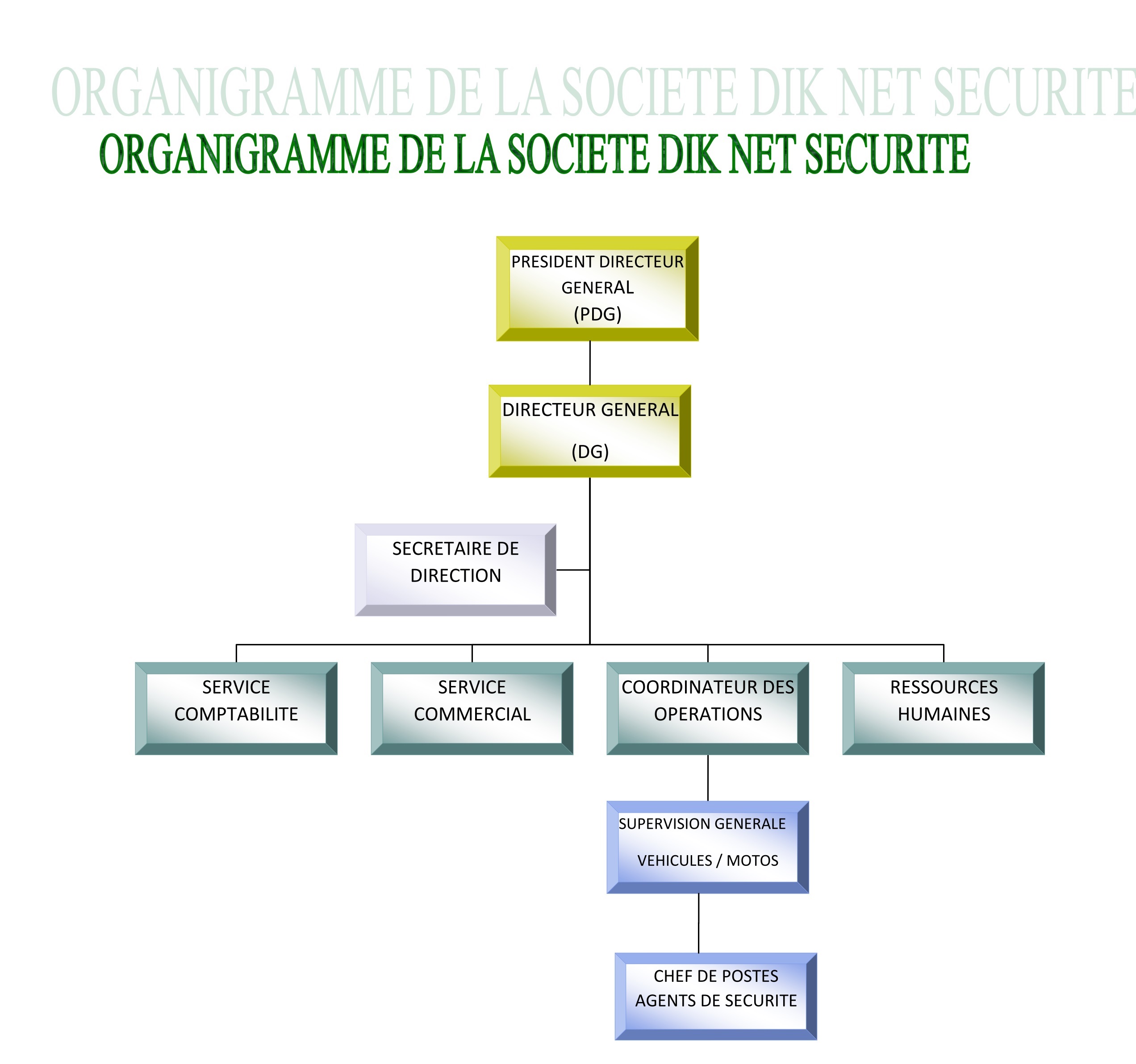 ORGANIGRAMME – DIK NET SECURITE
